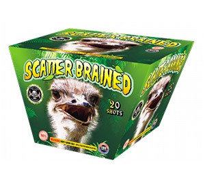 Our Fireworks Products Detail - Fireworks Nation